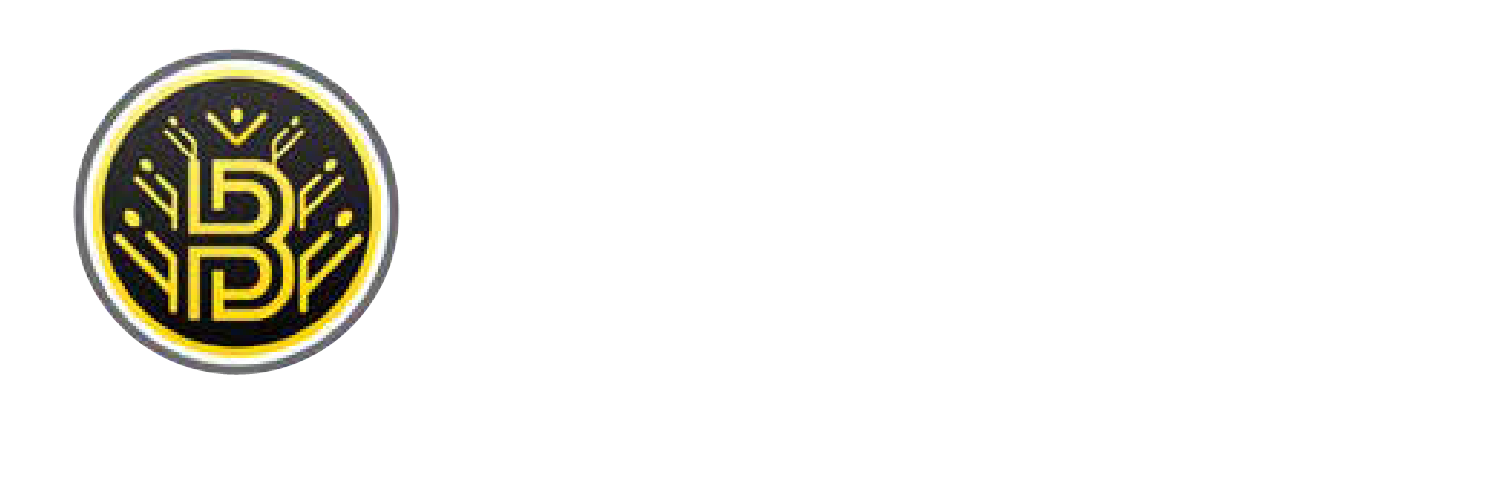 Our Corporate Profile - B Wealth Solution